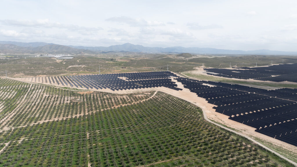 Anuncios de empresas: FRV, Matrix, BNZ, Sonnedix - pv magazine España