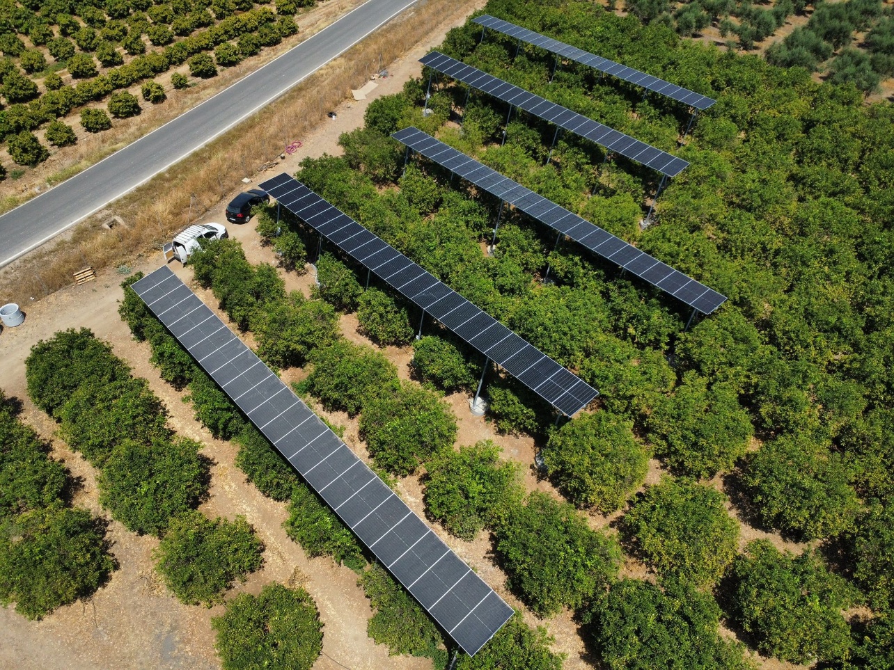 La columna de UNEF – La PAC reconoce la agrivoltaica: una nueva etapa ...