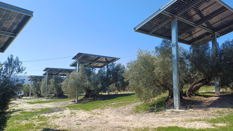 La columna de UNEF – La PAC reconoce la agrivoltaica: una nueva etapa ...
